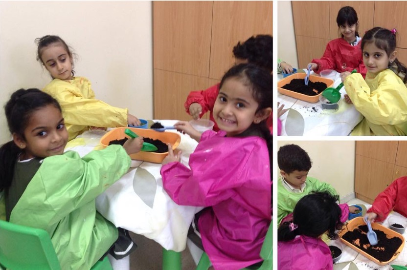 KG Activities